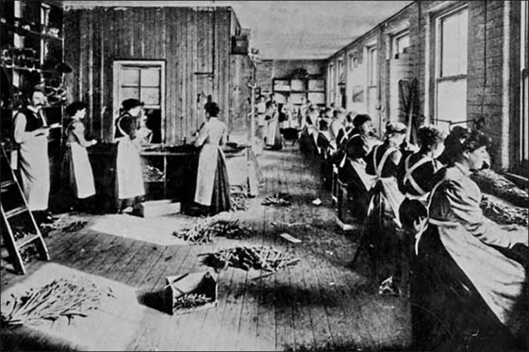 The History of "Integrated Works" Buildings - Portland Works, Sheffield